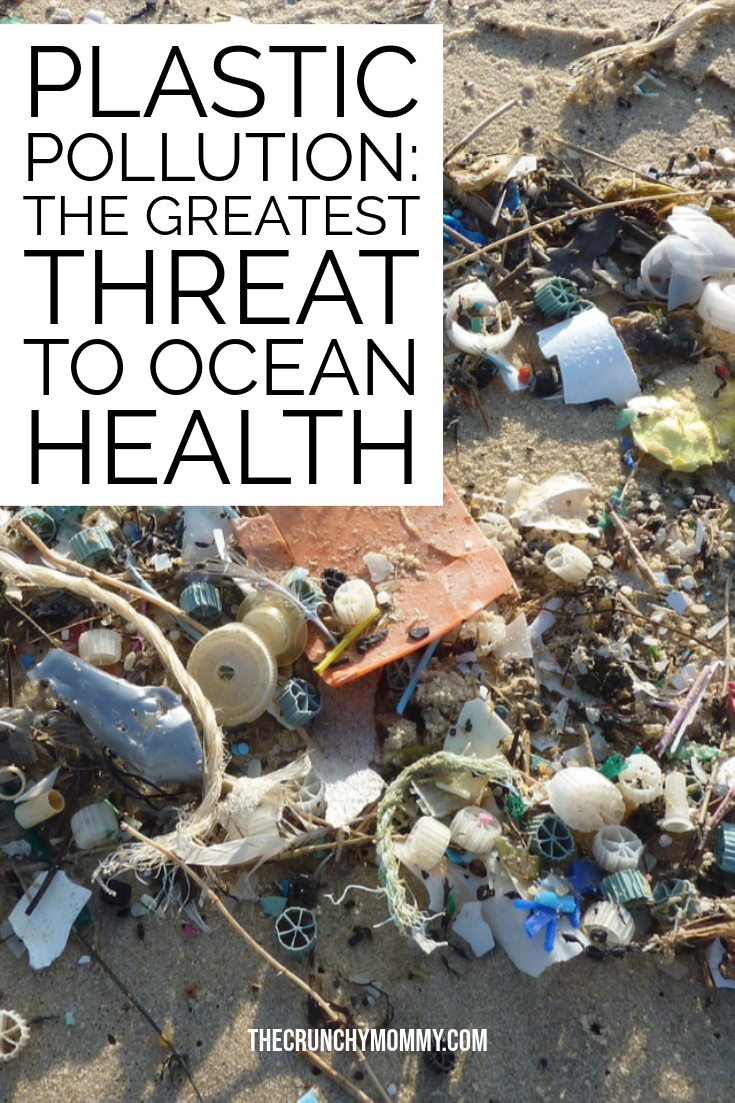 Plastic Pollution: The Greatest Threat To Ocean Health