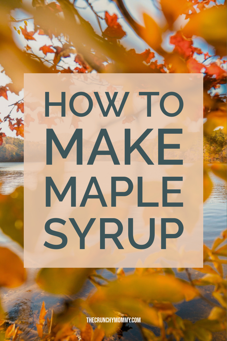 We Learned How To Make Maple Syrup! |Aaronica B. Cole