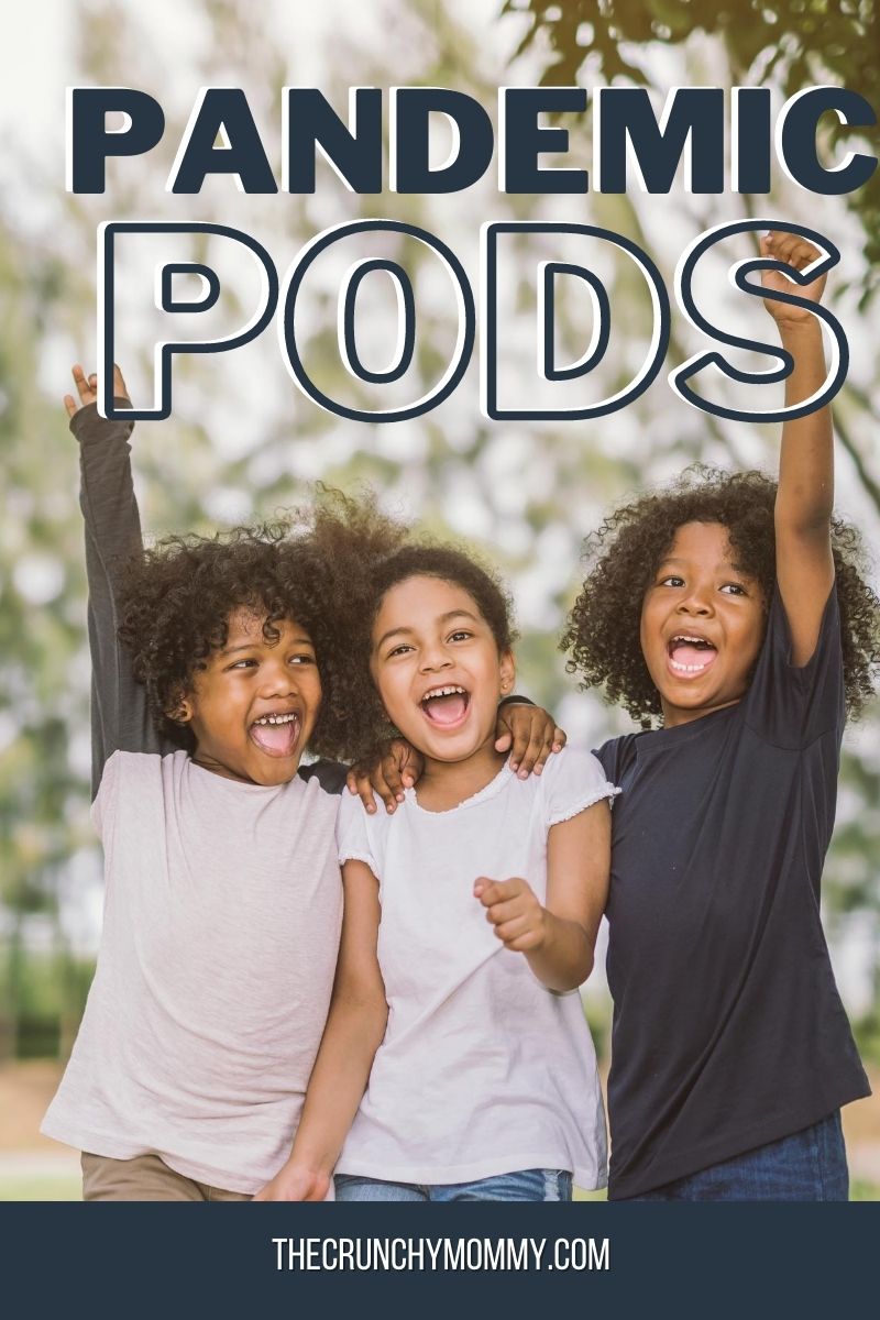 Pandemic Pods Are A Thing And You Should Totally Get With One